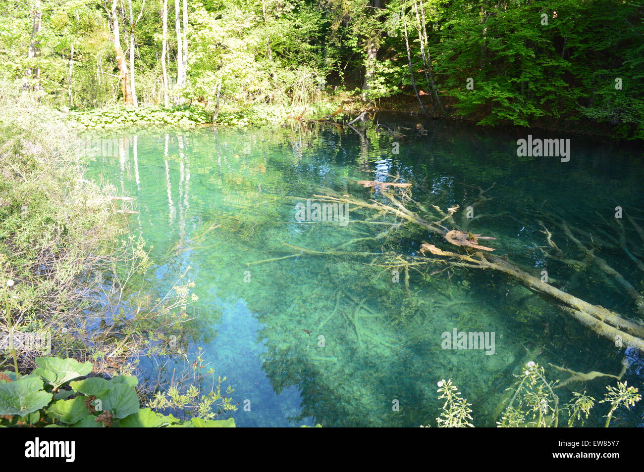 Clear Blue Lake Stock Photo - Alamy