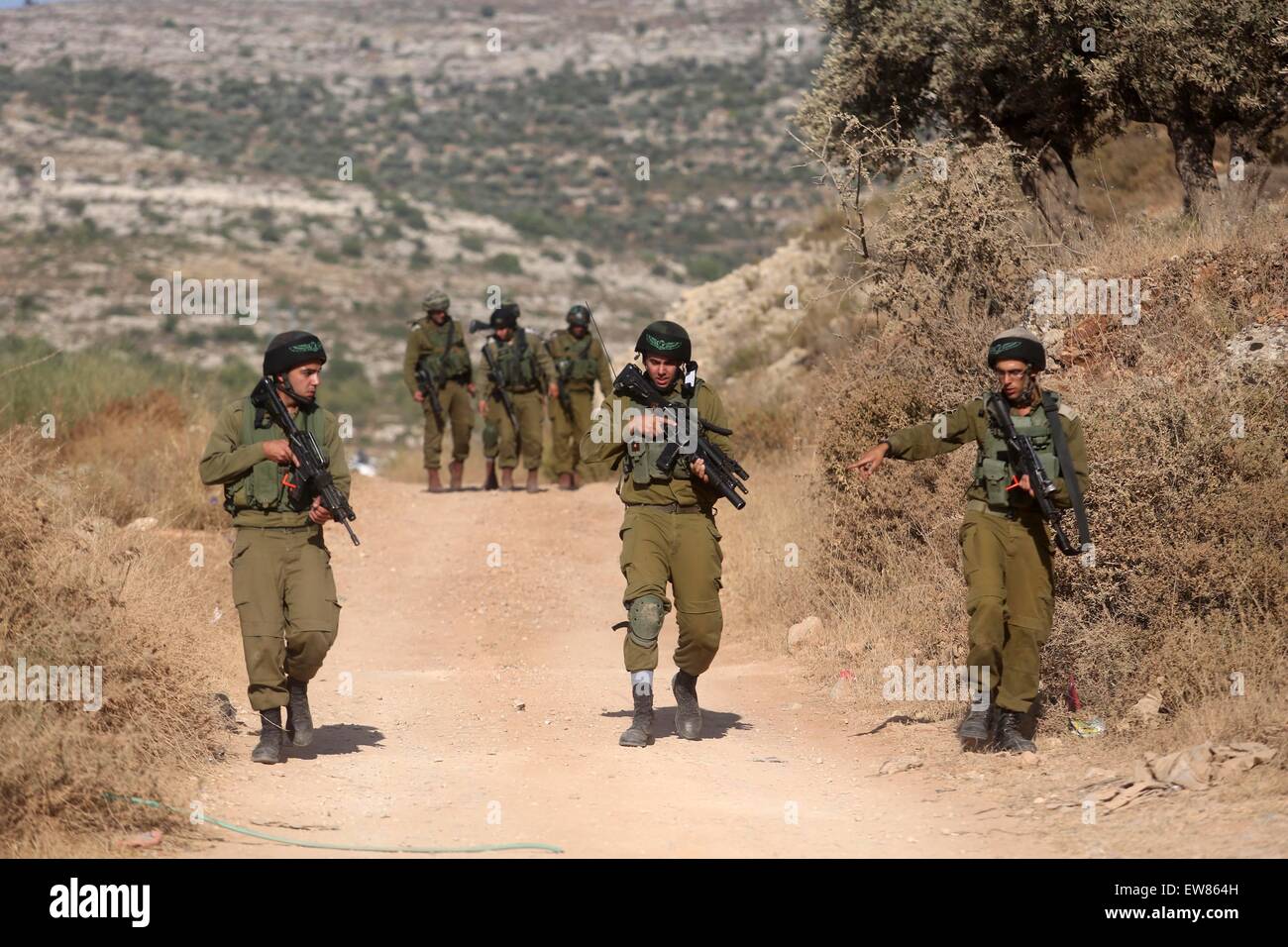 Wolf attack hi-res stock photography and images - Alamy