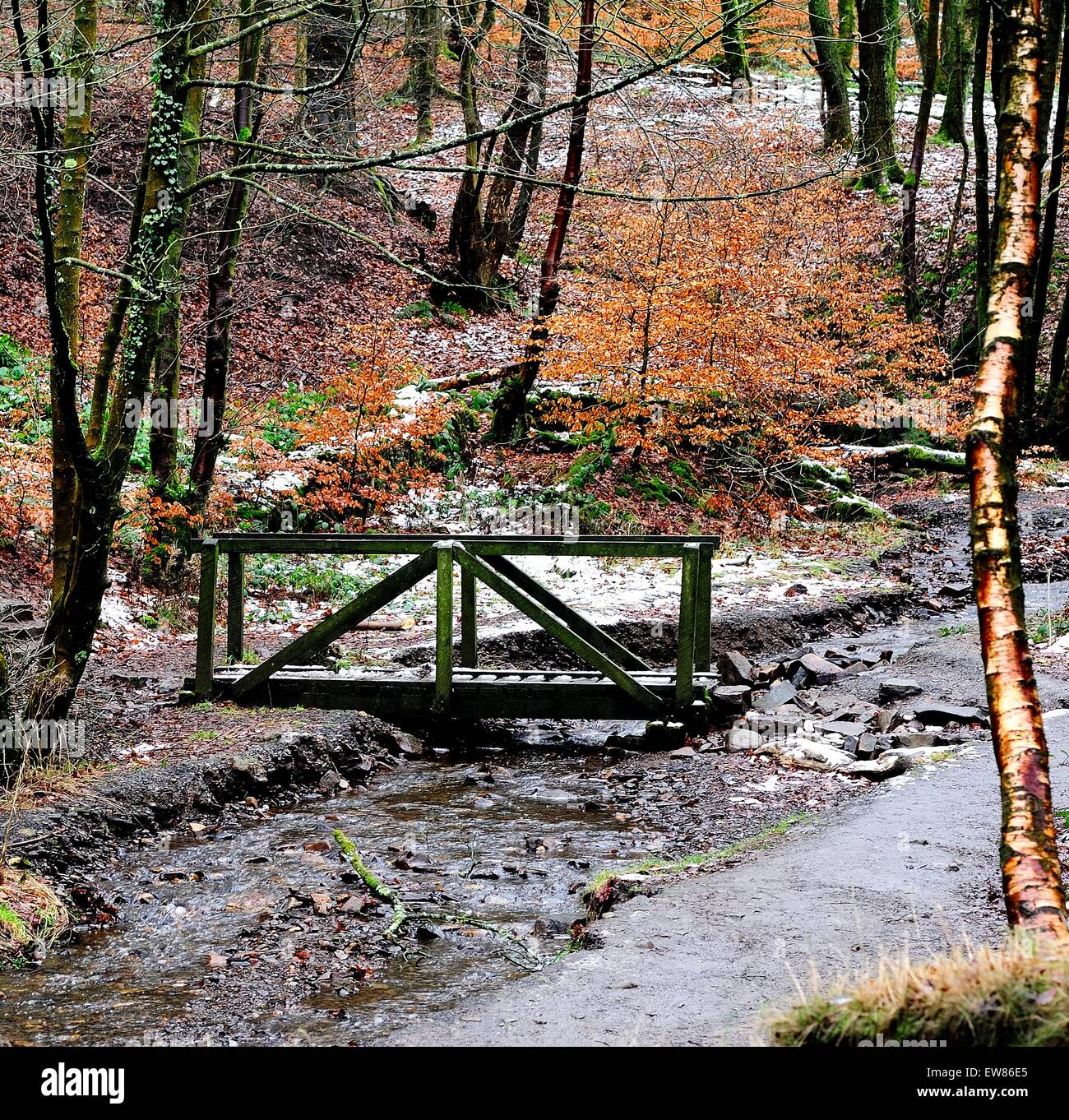 Footbridge partly across the stream Stock Photo - Alamy