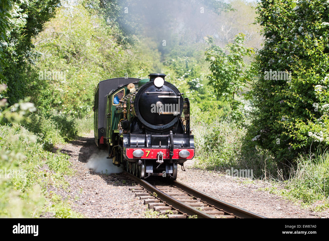 Little miniature steam train hi-res stock photography and images - Alamy