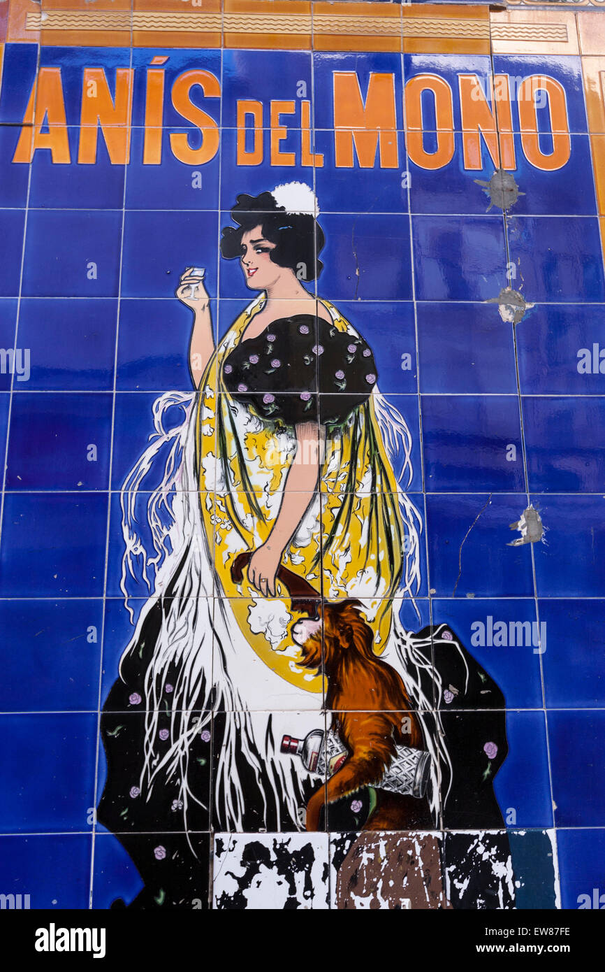 Anis del mono hi-res stock photography and images - Alamy