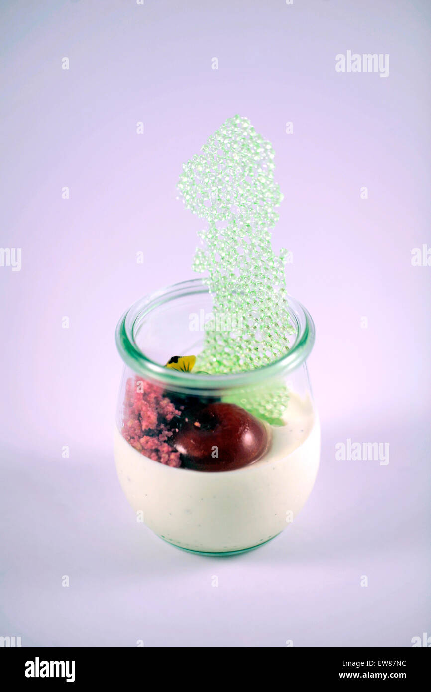 Vanilla White Rum Pana Cotta with Raspberry Sphere and Tapioca Tuille ...