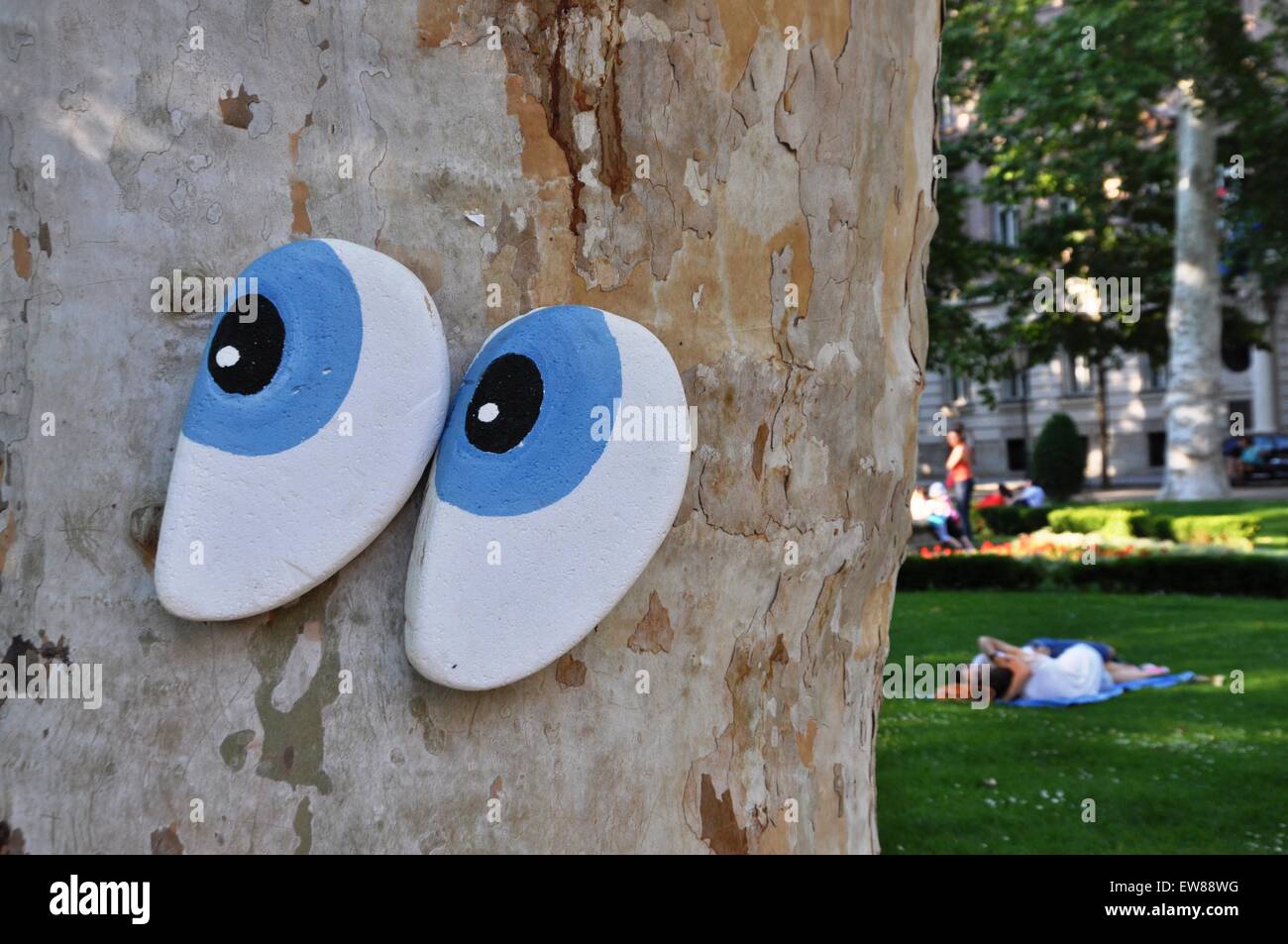 Eyes made of wood and a couple Stock Photo - Alamy