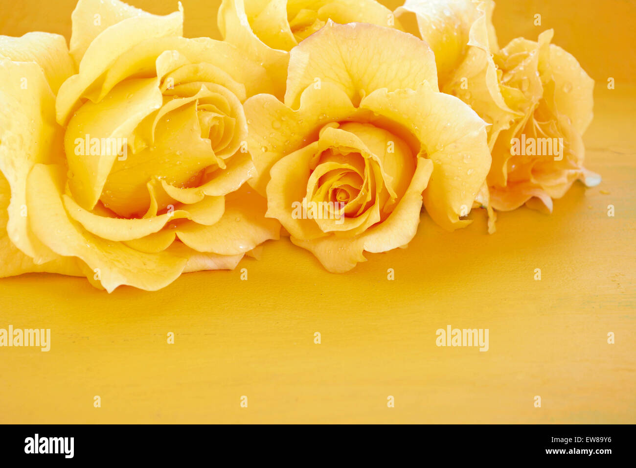 Beautiful friendship hi-res stock photography and images - Alamy