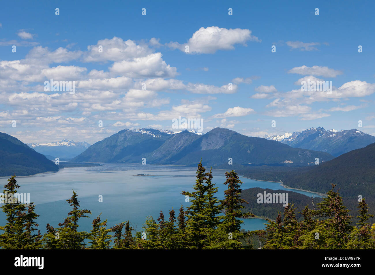Southeast alaska hemlock hi-res stock photography and images - Alamy