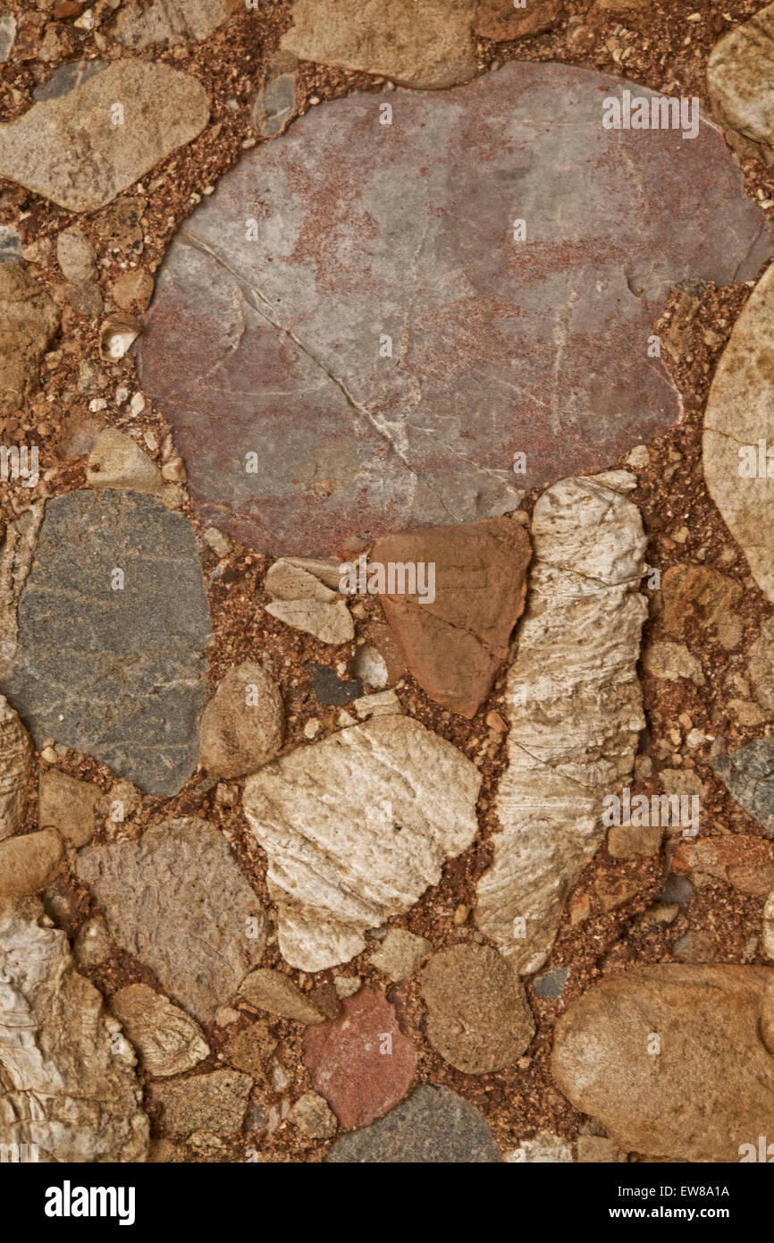 Leesburg conglomerate rock, sedimentary polymictic conglomerate ...