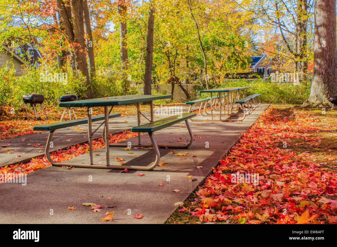 Bench in the park Stock Photo - Alamy