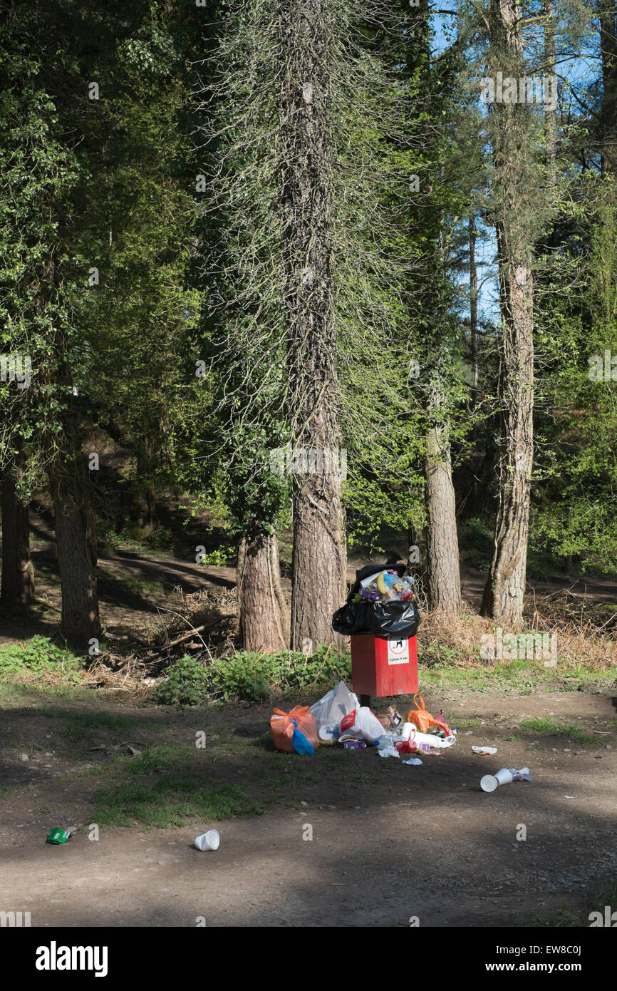 Mallards pike lake hi-res stock photography and images - Alamy
