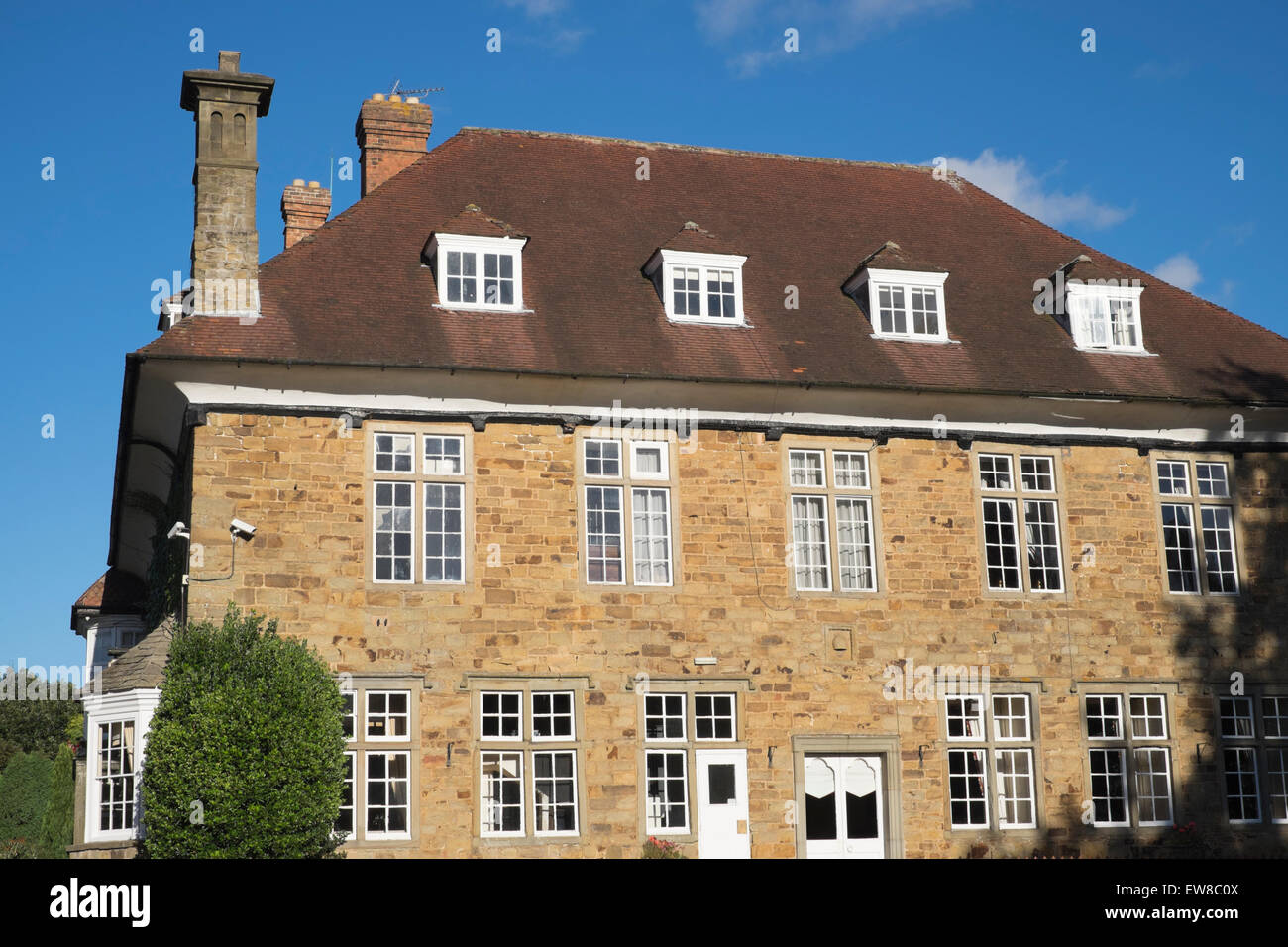 Speech in the forest hi-res stock photography and images - Alamy