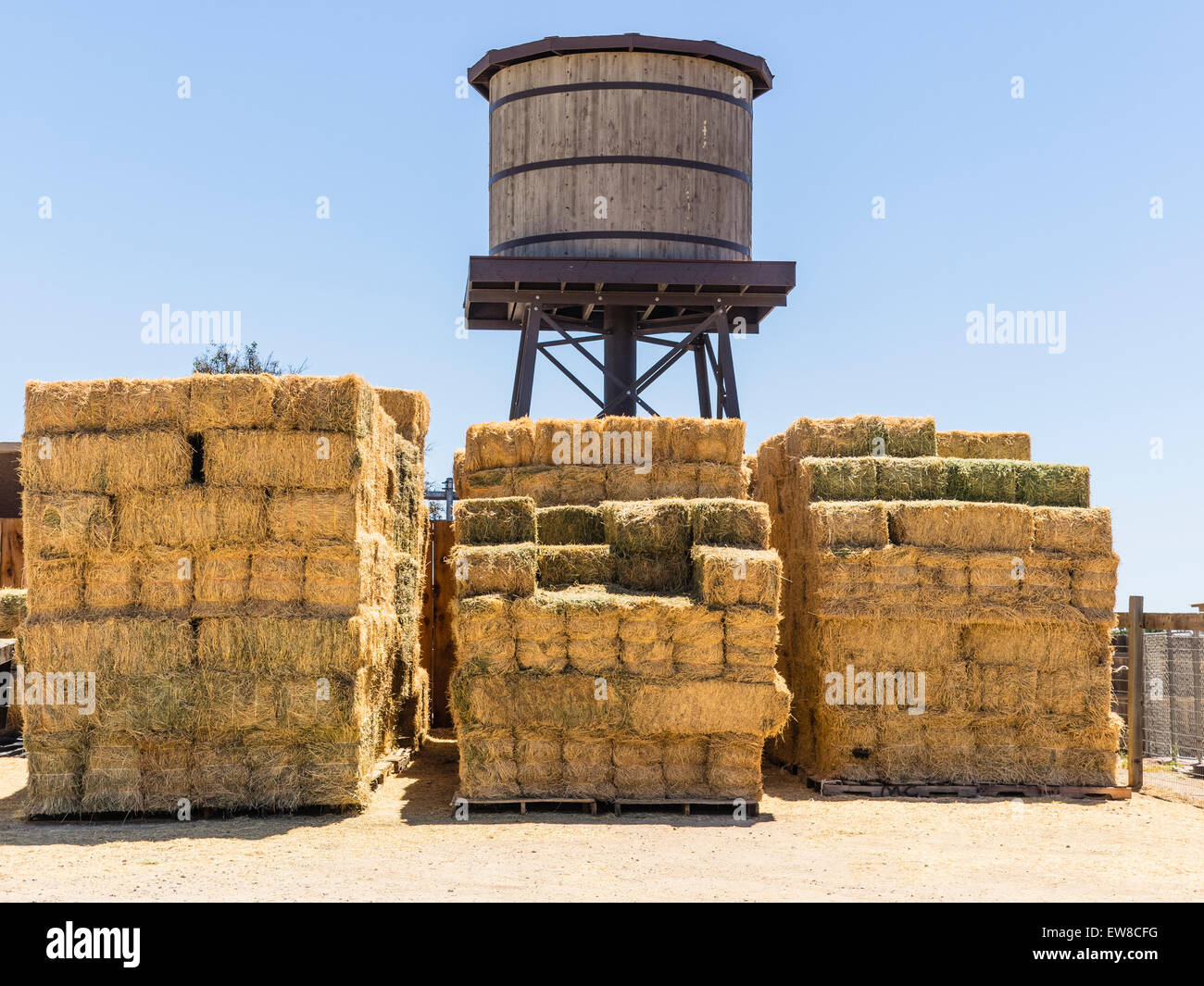 Stacks of hay in foreground and a wooden water tower in the background ...
