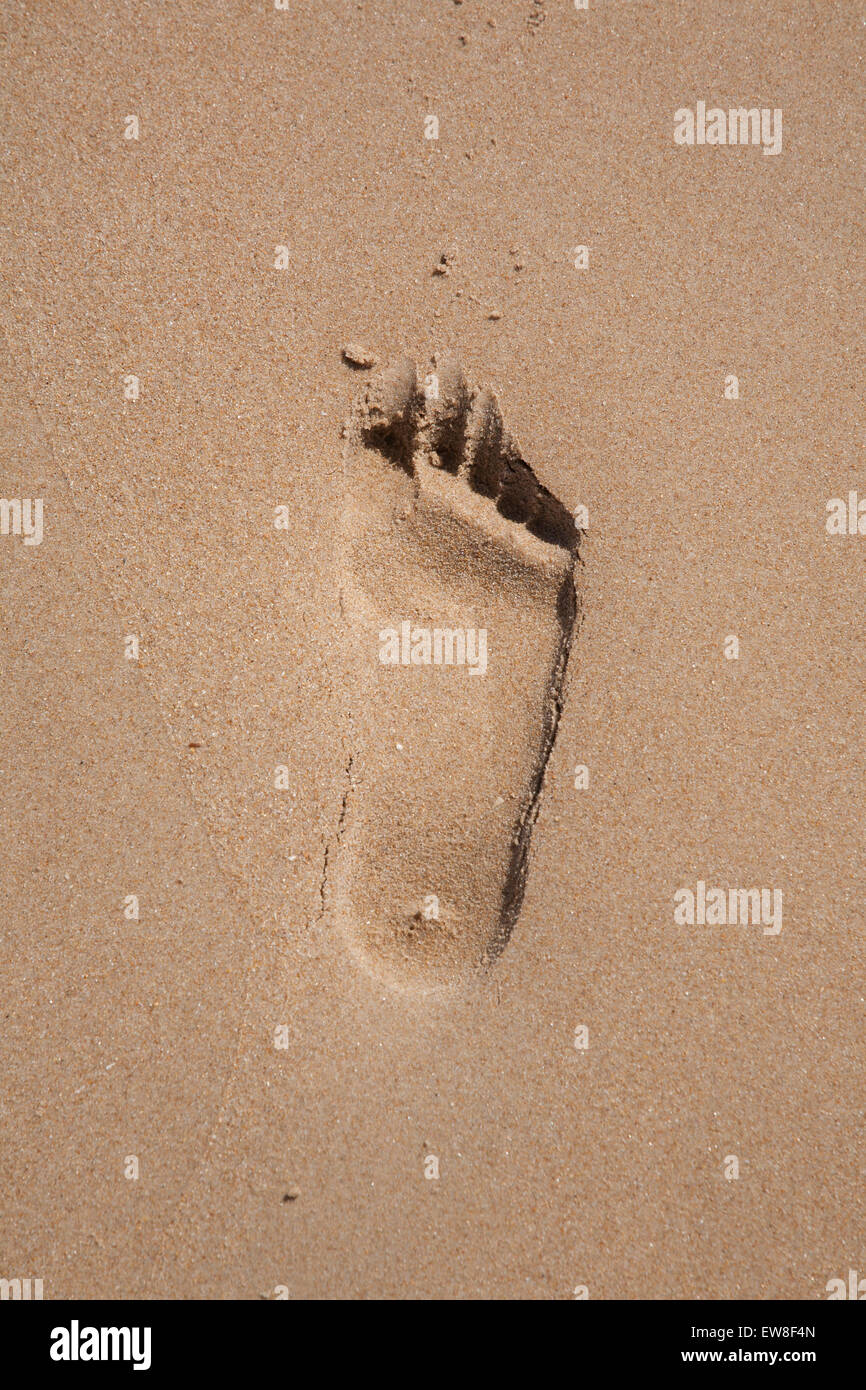 footprint one right feet on brown sand beach seaside Stock Photo - Alamy
