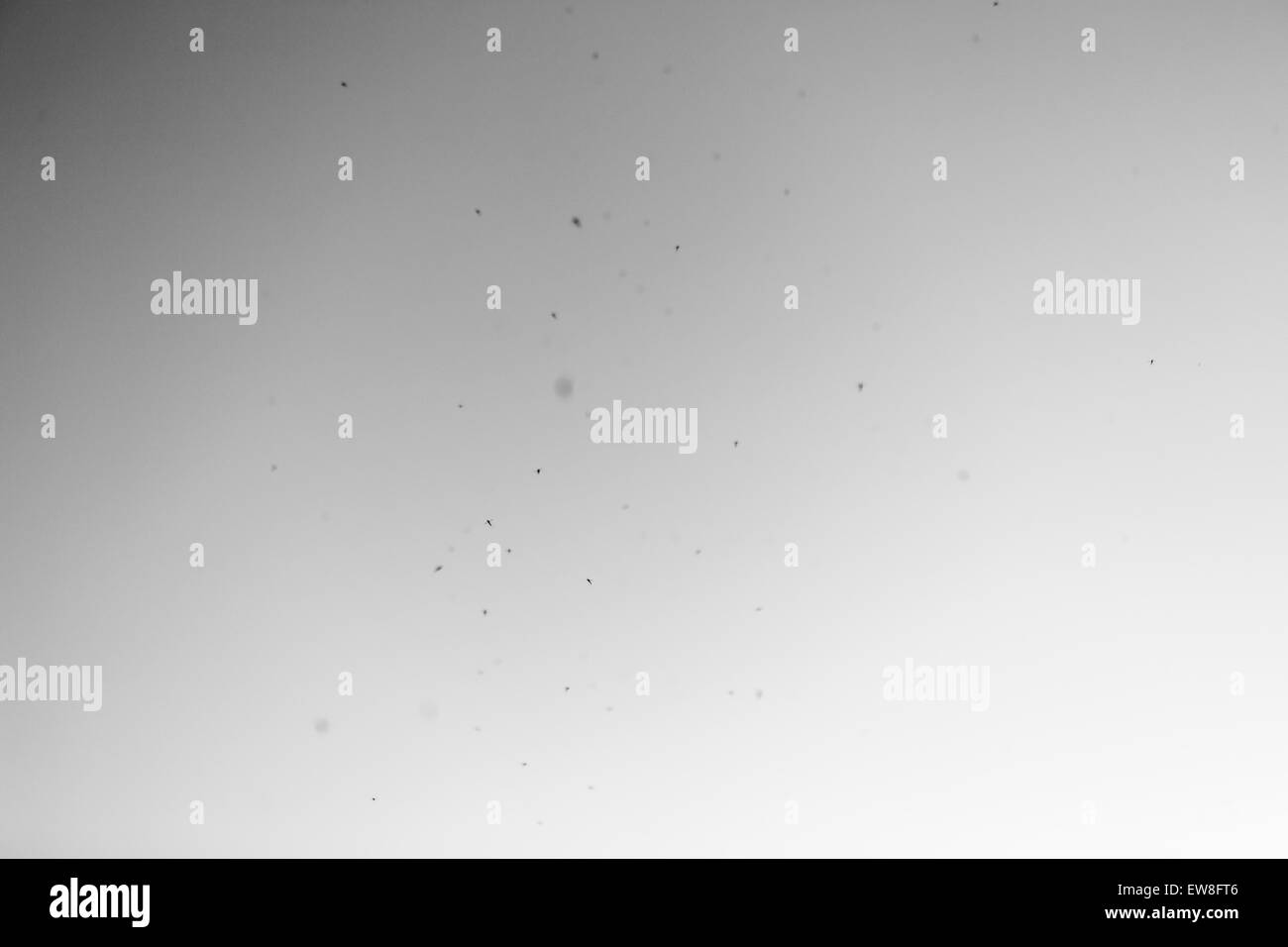 Flying debris Black and White Stock Photos & Images - Alamy