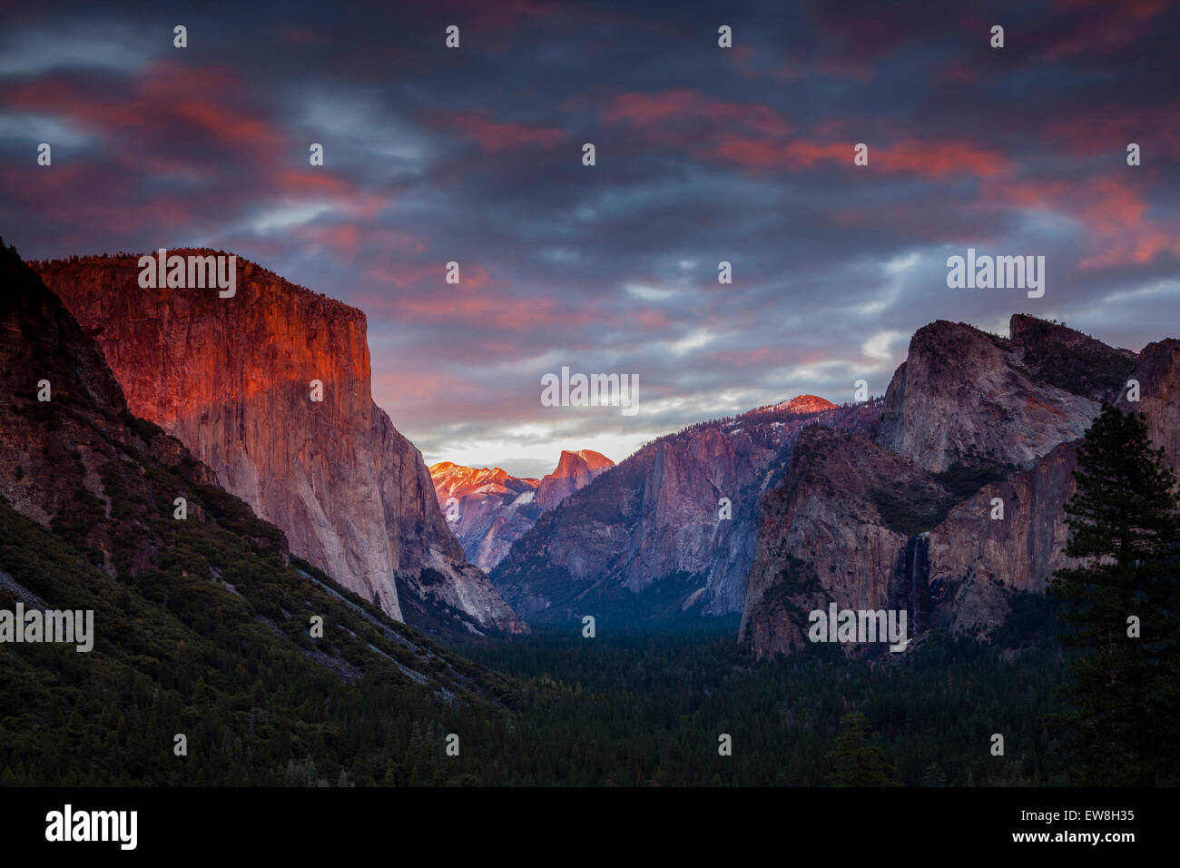 Yosemite Valley from Tunnel View. Golden red late evening sunshine with ...