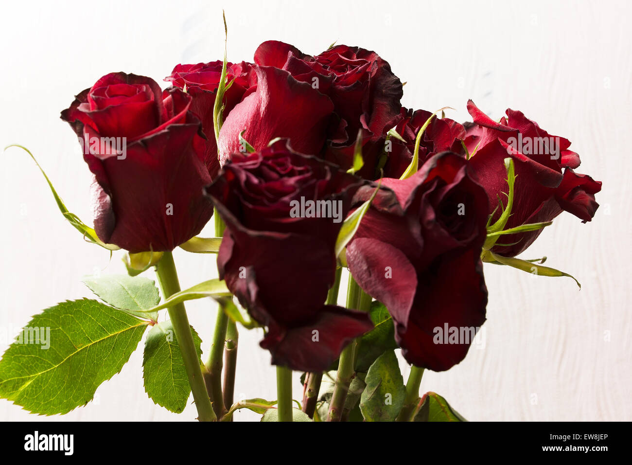 The large bouquet hi-res stock photography and images - Alamy