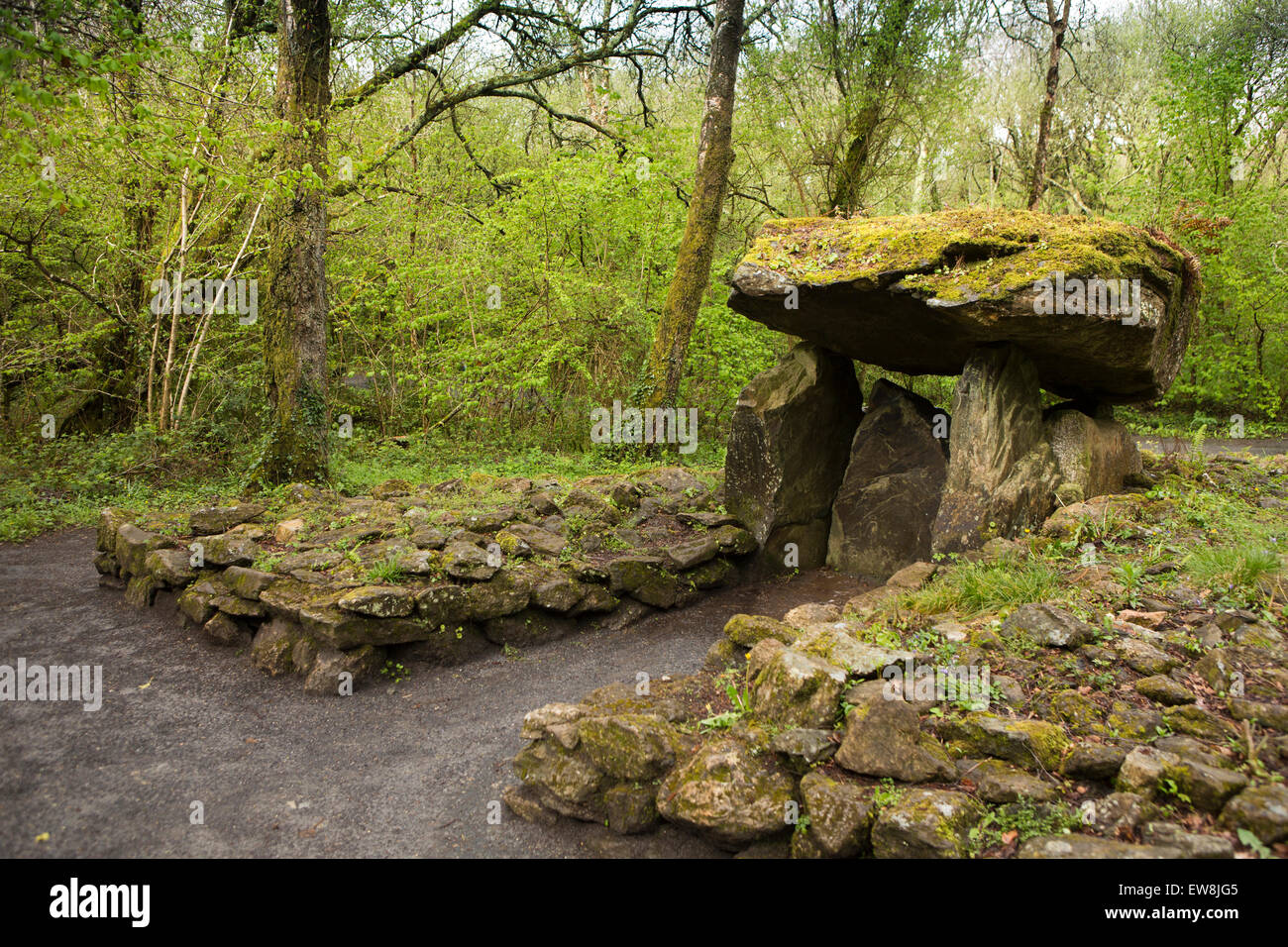 Ireland megalithic tombs hi-res stock photography and images - Alamy