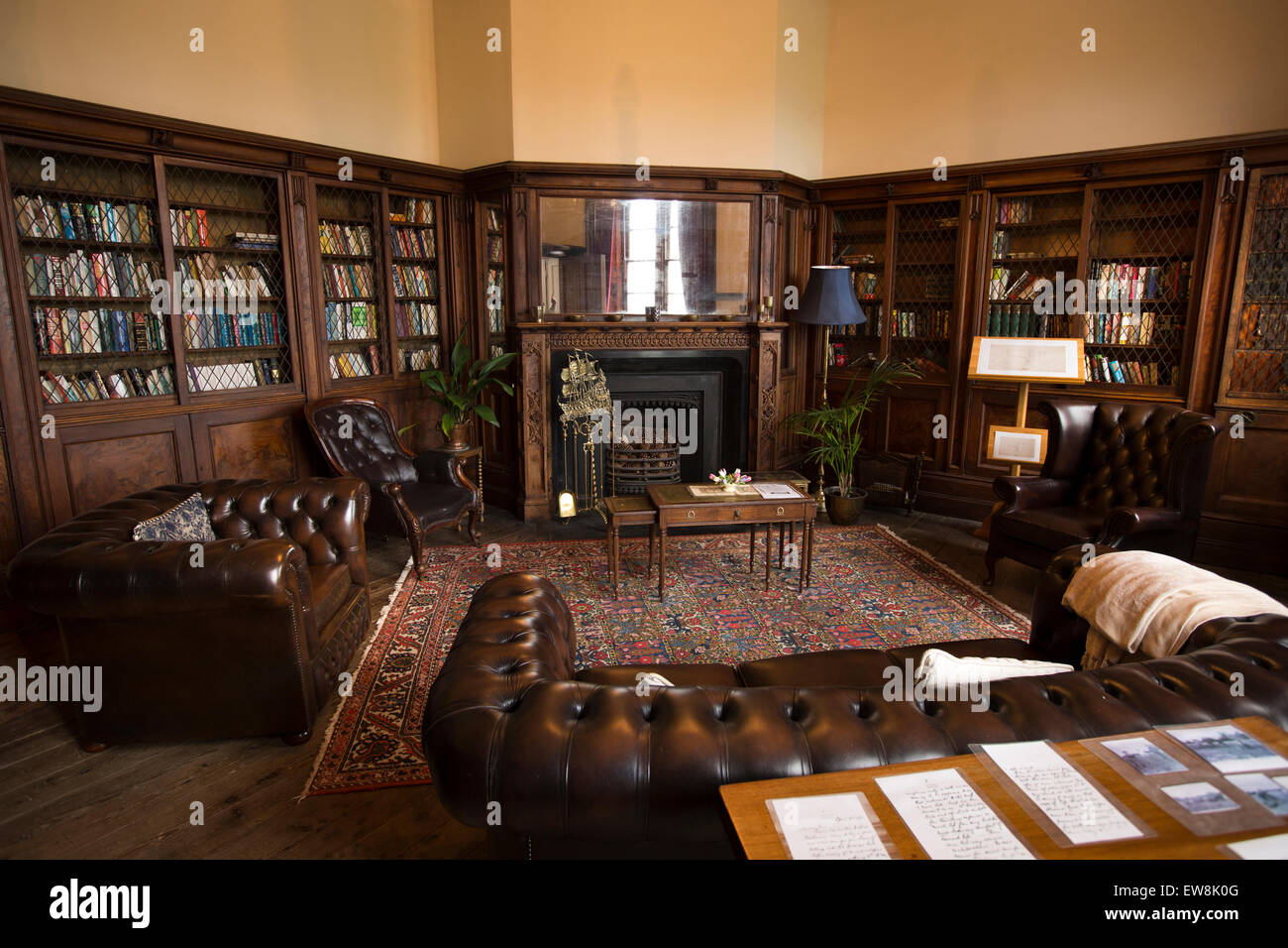 Irish Home Library Decor