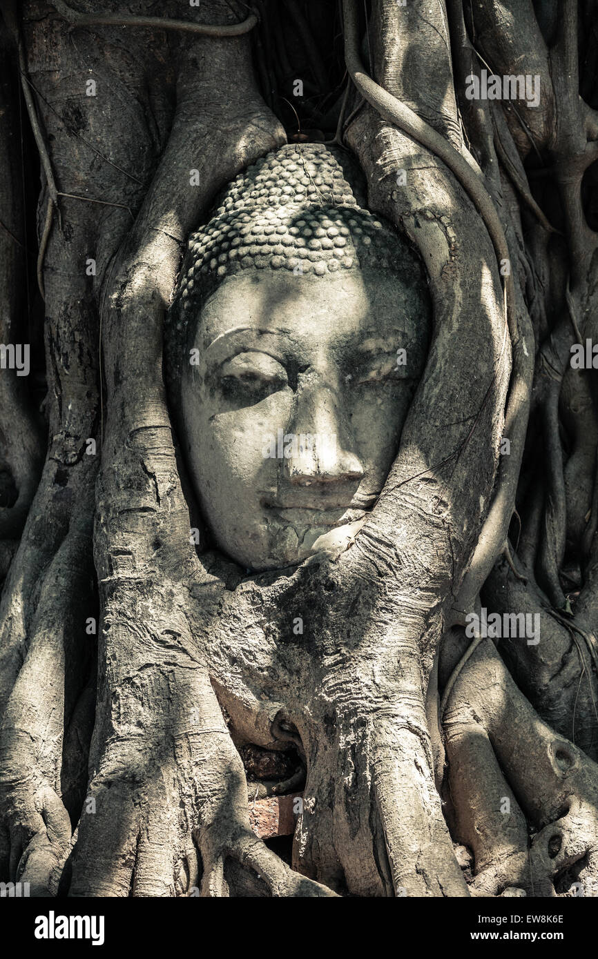 Buddha Head in Tree Roots, Ruins of Wat Mahathat, UNESCO World Heritage ...