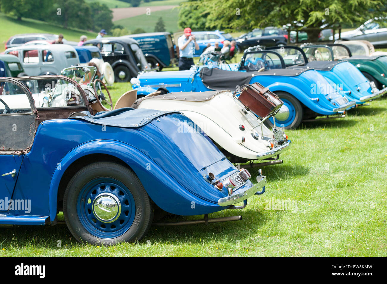 Classic, concourse condition Singer motor cars at an annual convention ...