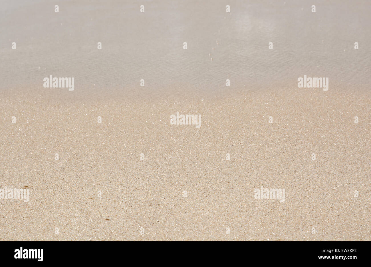 Subtle border line between dry and wet sand on beach in Sri Lanka, Asia ...