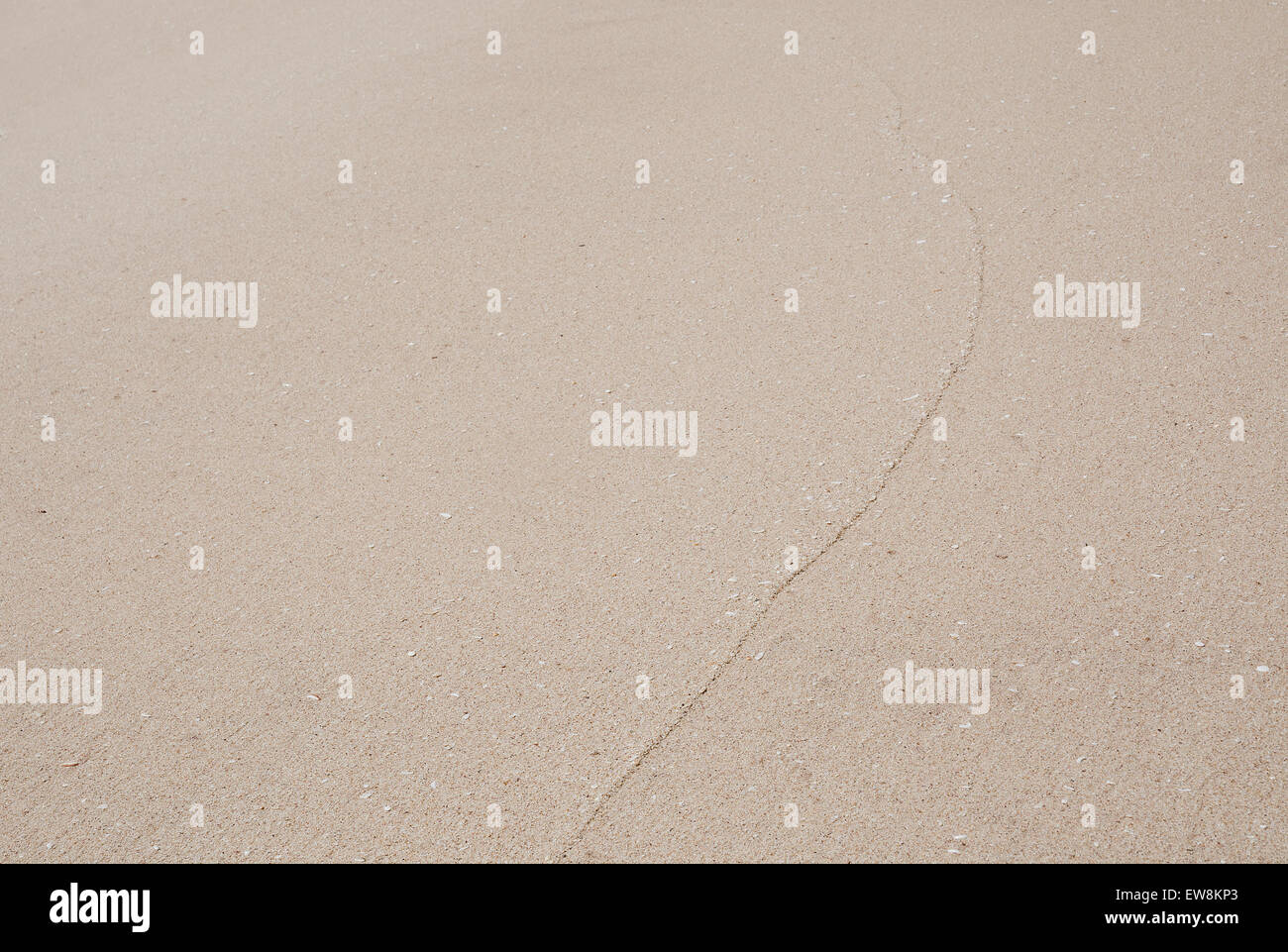 Sand texture with subtle lines Sri Lanka, Asia Stock Photo - Alamy