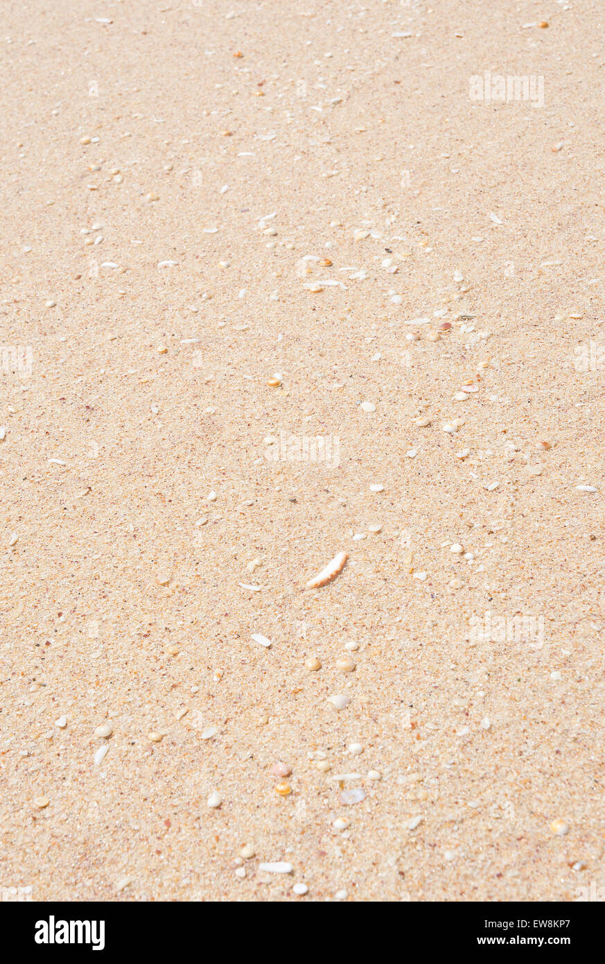 Sand texture with subtle lines Sri Lanka, Asia Stock Photo - Alamy