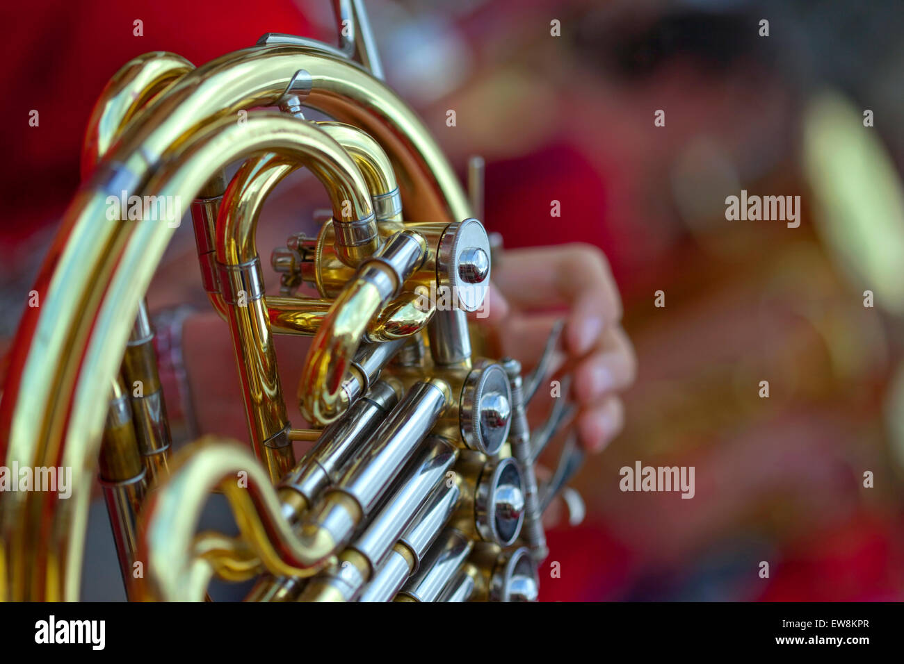 Musician with a horn in a orchestra Stock Photo - Alamy