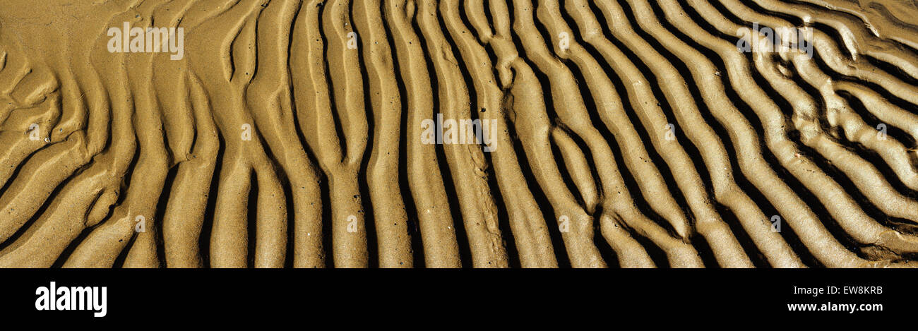 Wet sand groove formations at the shore line. Panoramic 95 Degrees in ...