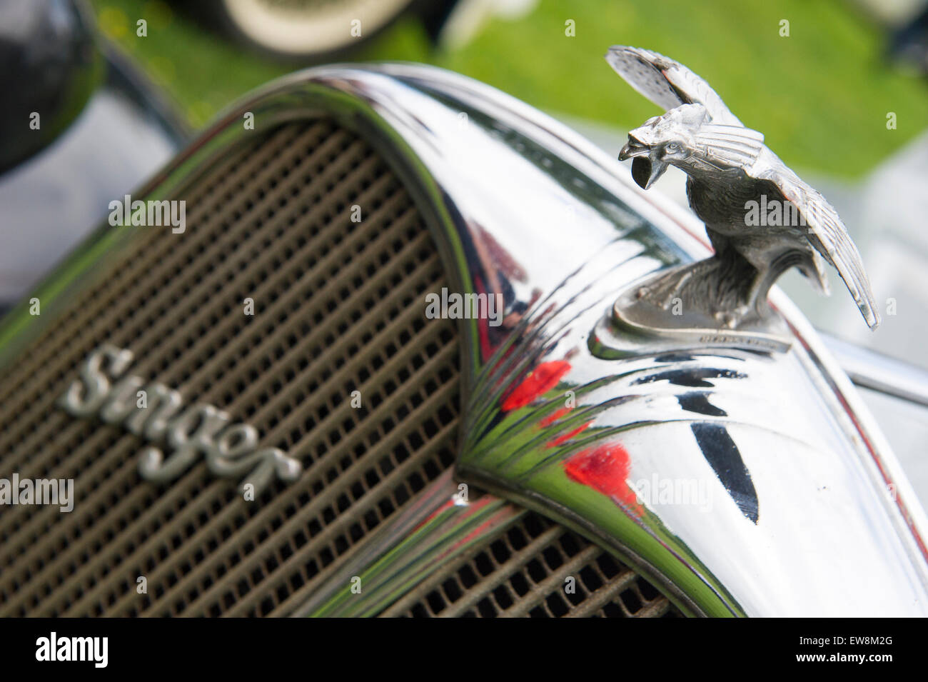 Classic, concourse condition Singer motor cars at an annual convention ...