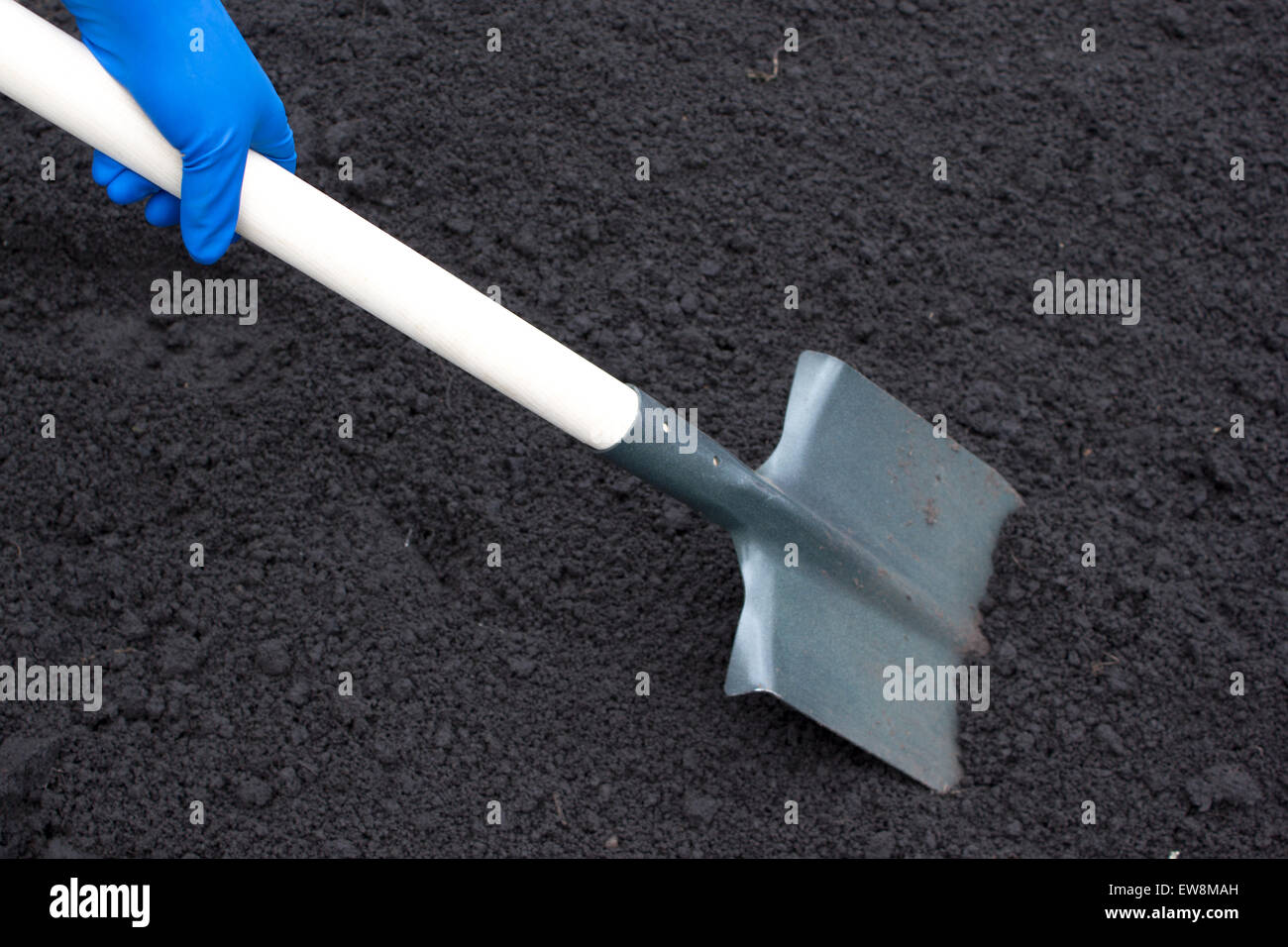 Shovel on field, digging hole with spade in field Stock Photo - Alamy