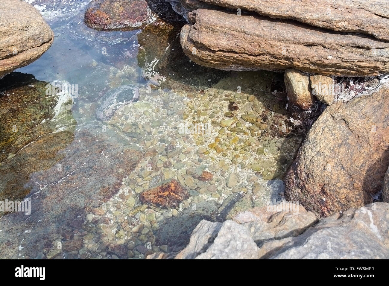 Metamorphic pebbles and boulders underwater in Southern Province, Sri ...
