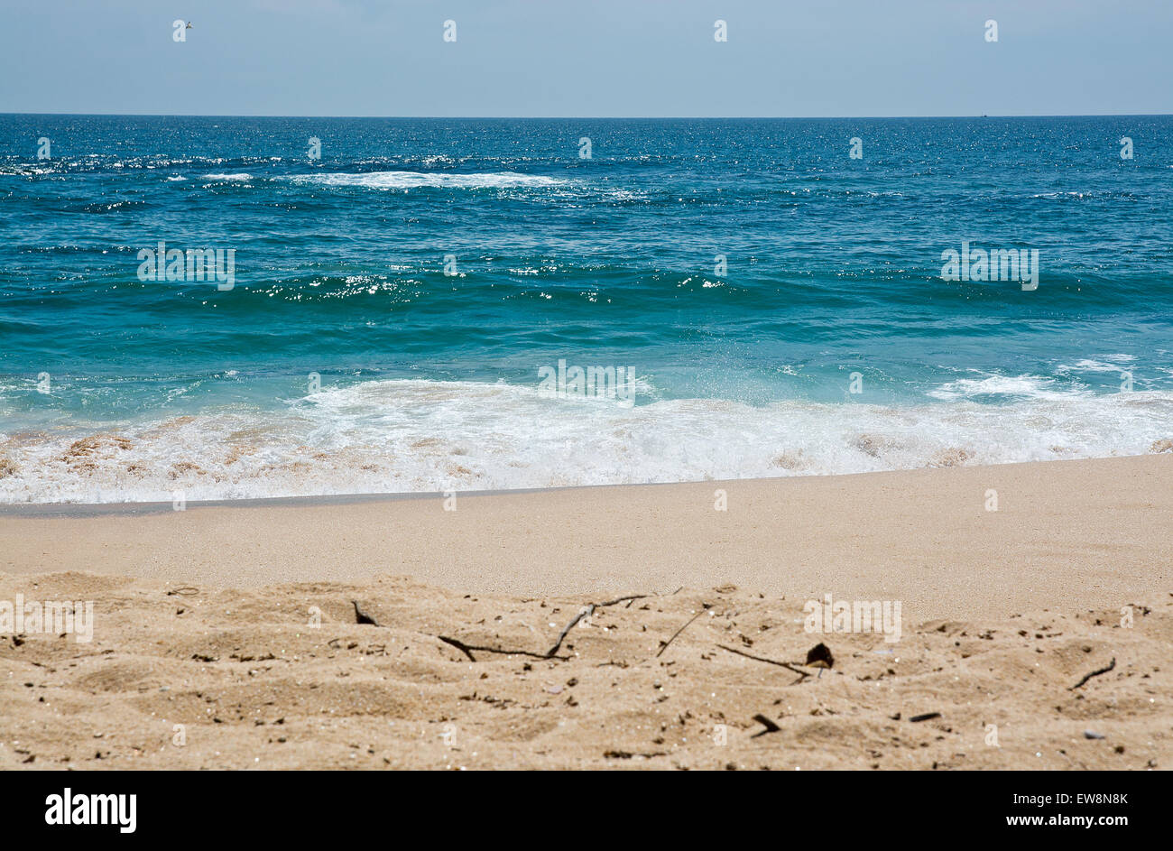 Green wave with white seafoam closeup on sandy paradise beach, Sri ...