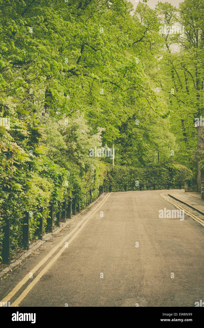 Beautiful English countryside road, conceptual vertical image Stock ...