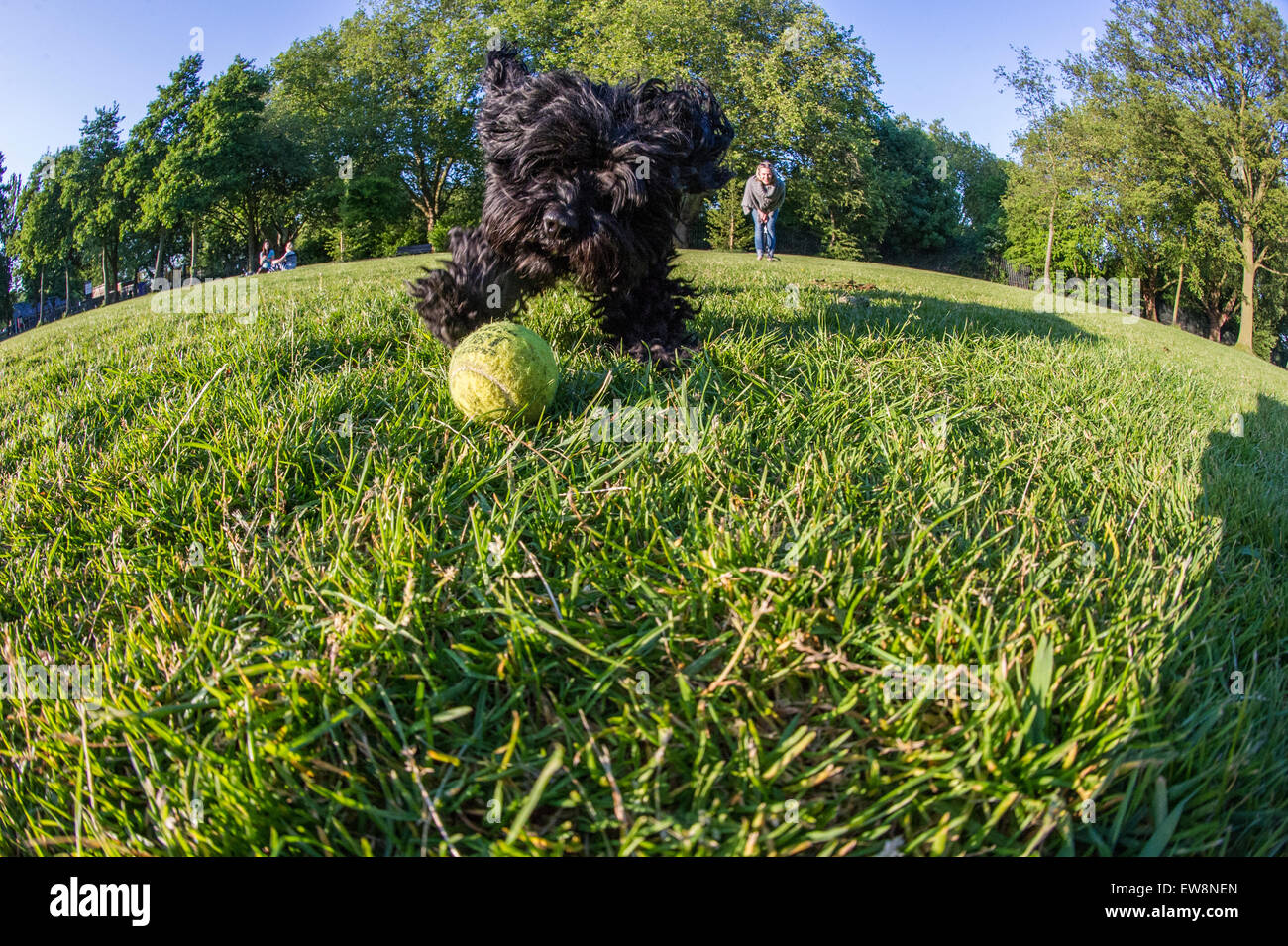 Chase ball park hi-res stock photography and images - Alamy