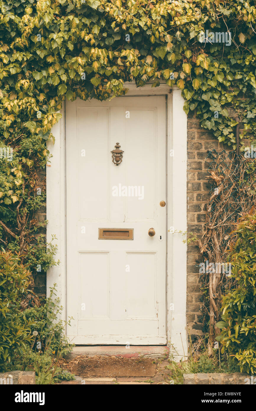 Front of a cottage with white door covered with green hedge closeup ...