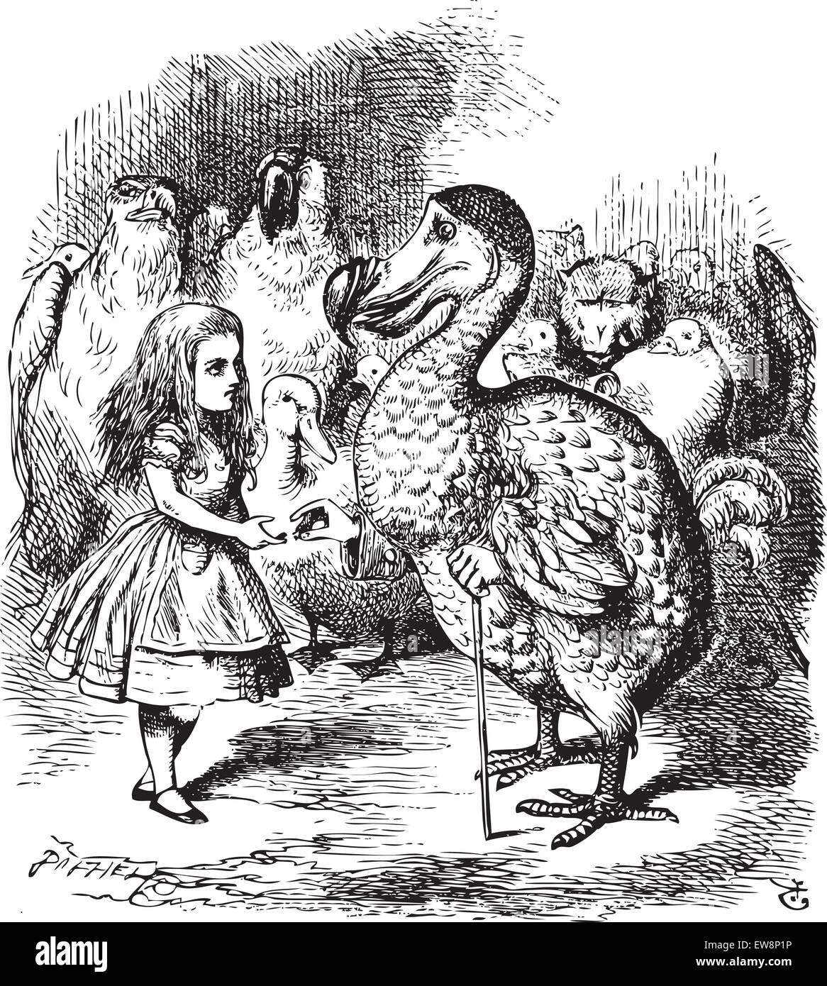 Dodo Bird Alice In Wonderland Costume