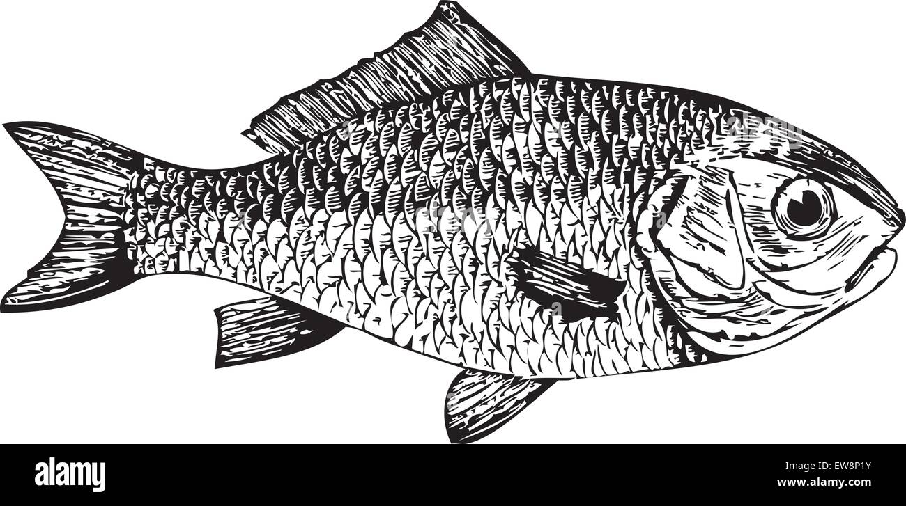 Vector traced illustration of an old engraving from Trousset 1886 ...