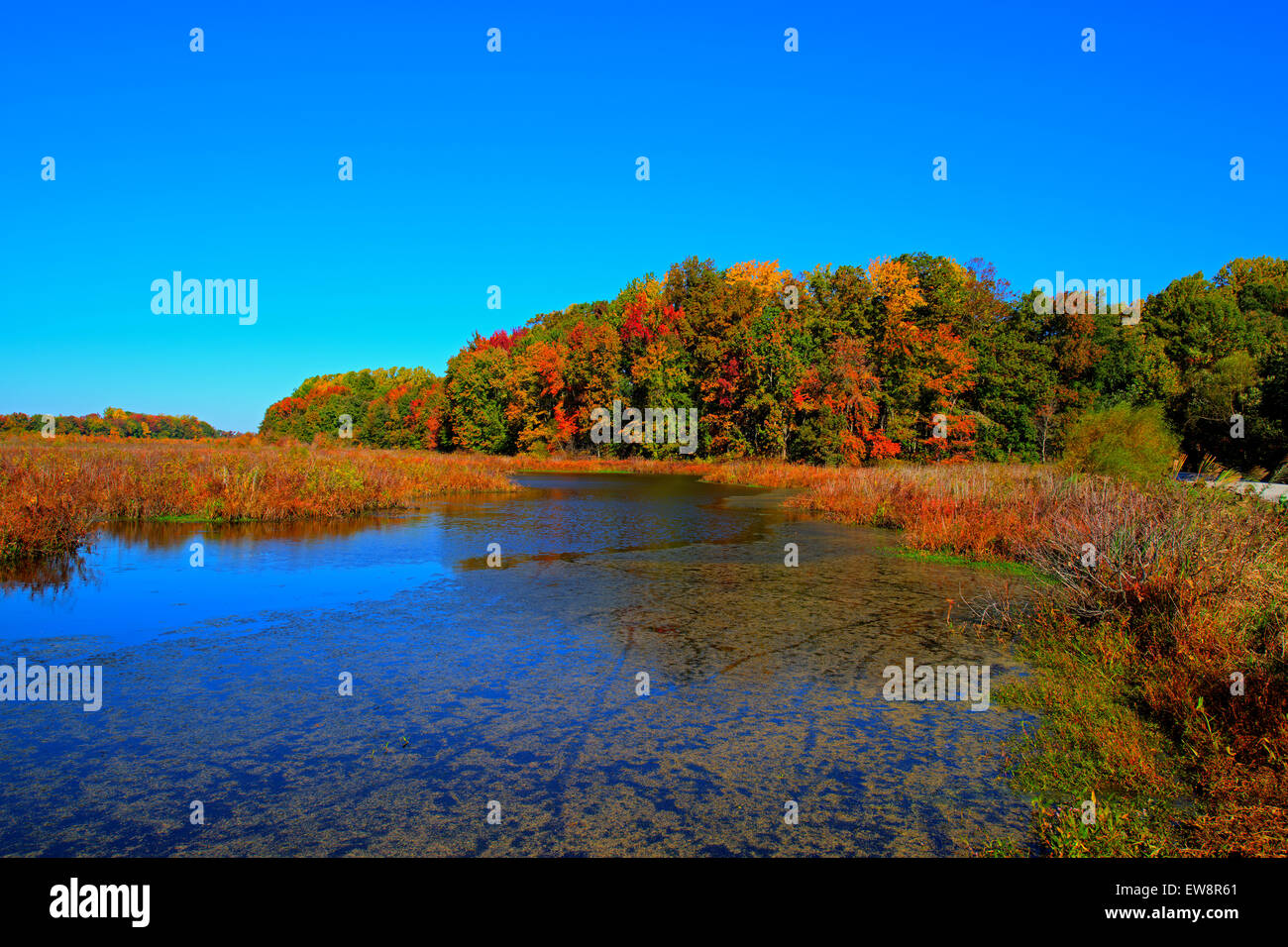 Reflecting colors hi-res stock photography and images - Alamy