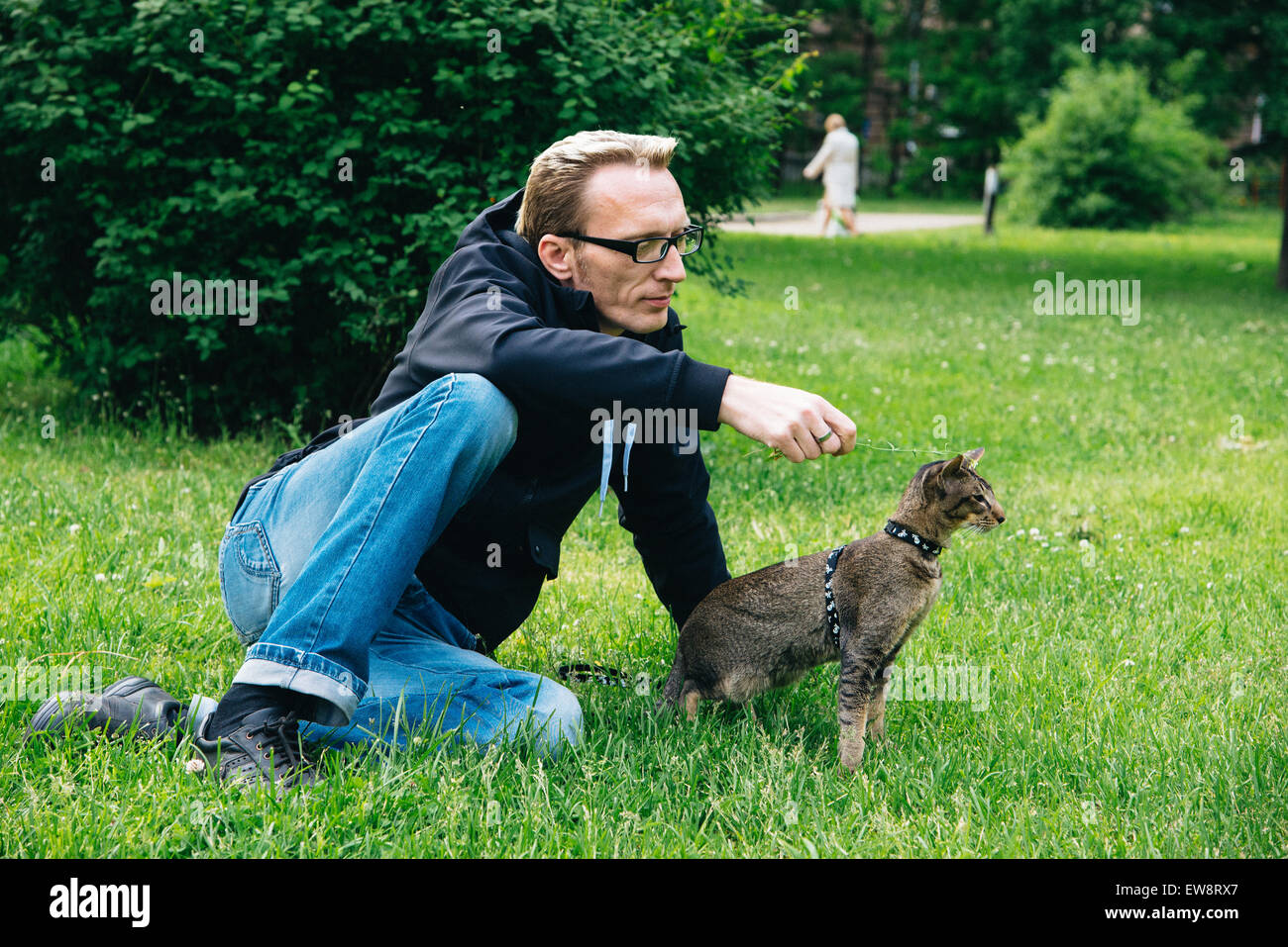man playing the cat outdoor in summer day on cat's first walk Stock ...