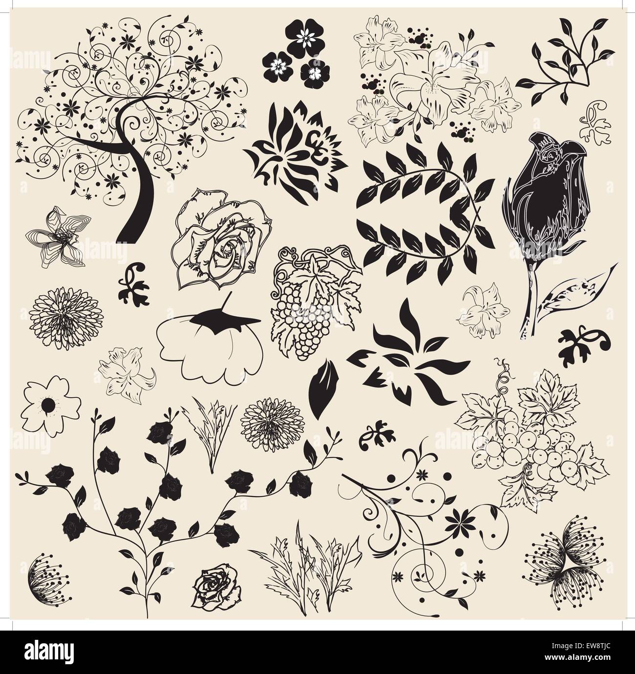 Floral vector elements Stock Vector Image & Art - Alamy