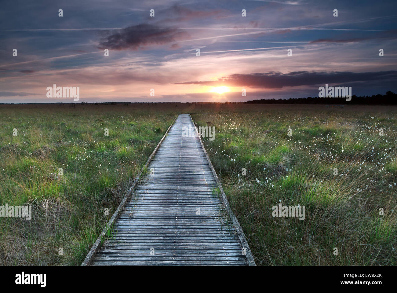 Sunlight path hi-res stock photography and images - Alamy