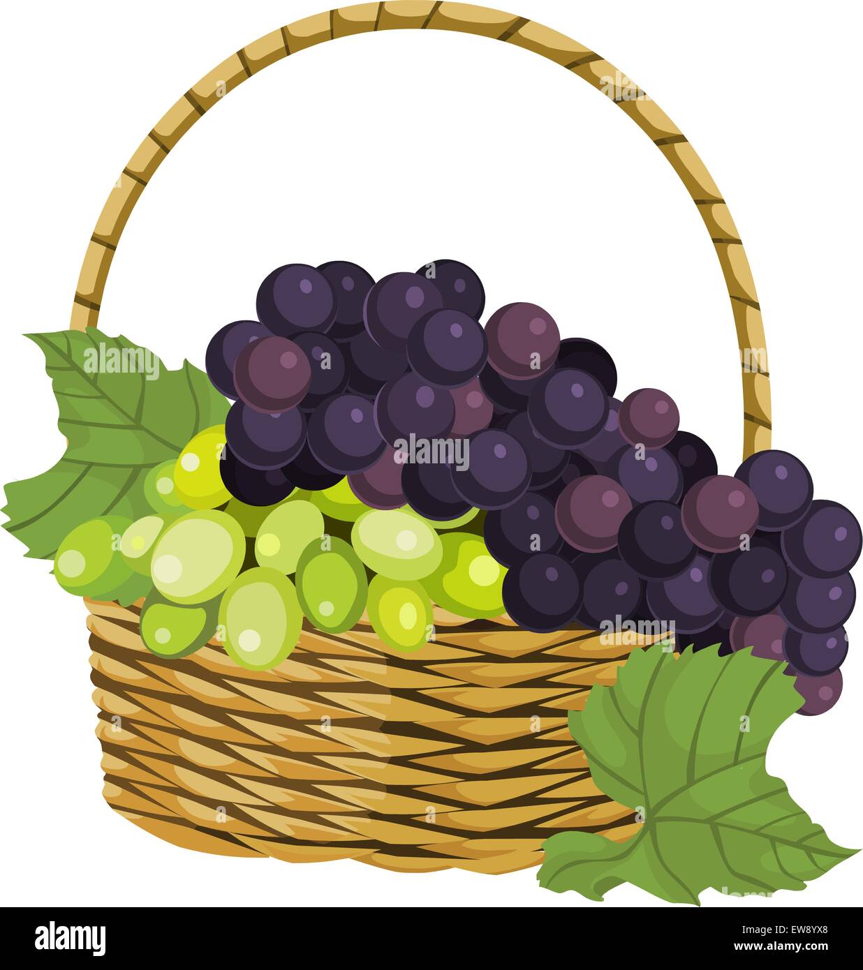 Ripe grapes in Stock Vector Images - Alamy