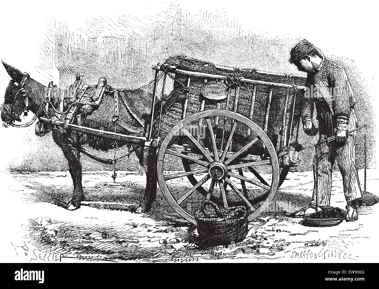 Coal Merchant with horse-drawn (donkey) cart in Valencia, Spain ...