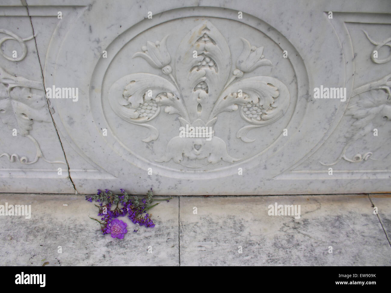 Discarded flower on a bench Stock Photo - Alamy