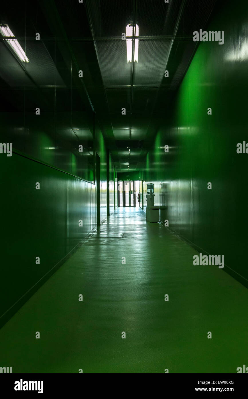 View of a modern industrial long green corridor Stock Photo - Alamy