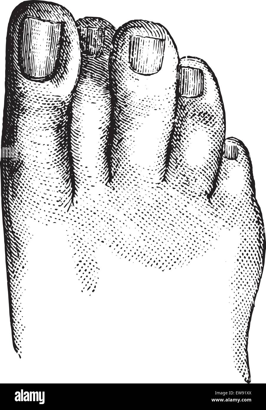 Second toe hi-res stock photography and images - Alamy