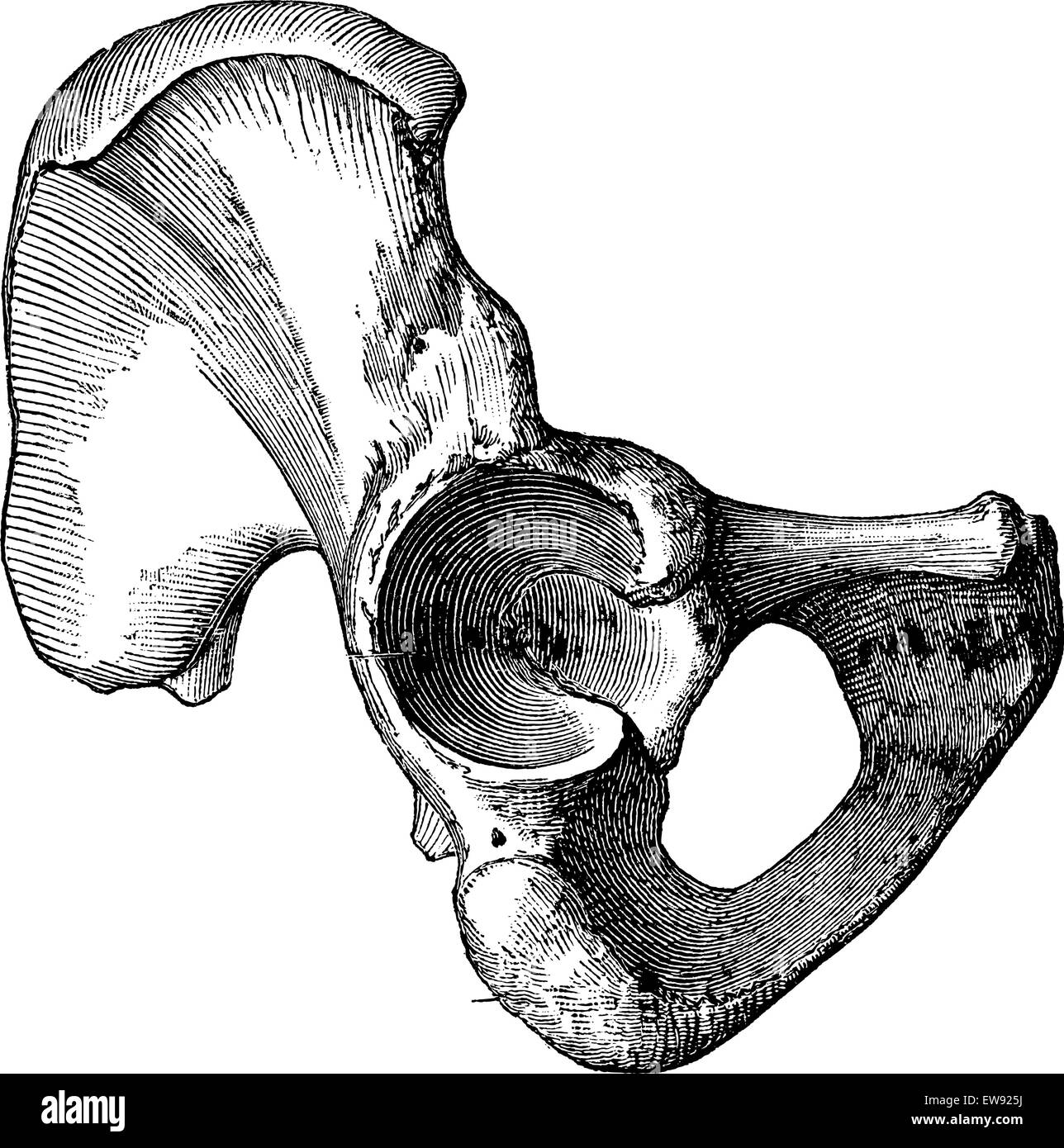 Ilium Stock Photos & Ilium Stock Images - Alamy