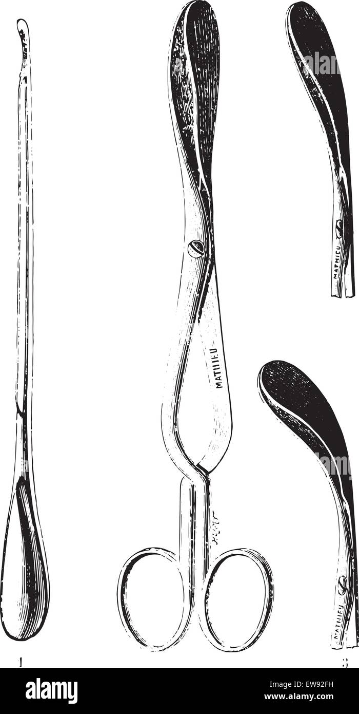 1.Button to peak and curette, 2.Forceps jaw rights, 3. Curved forceps ...