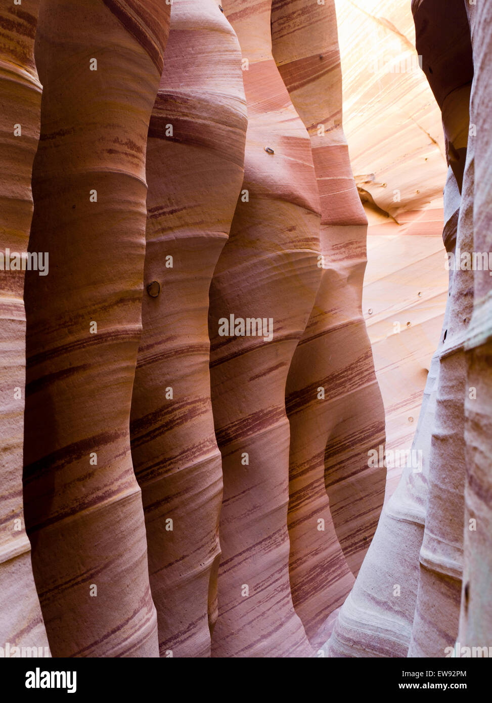 View of the sidewall of Zebra Slot Canyon, along Harris Wash, Grand ...