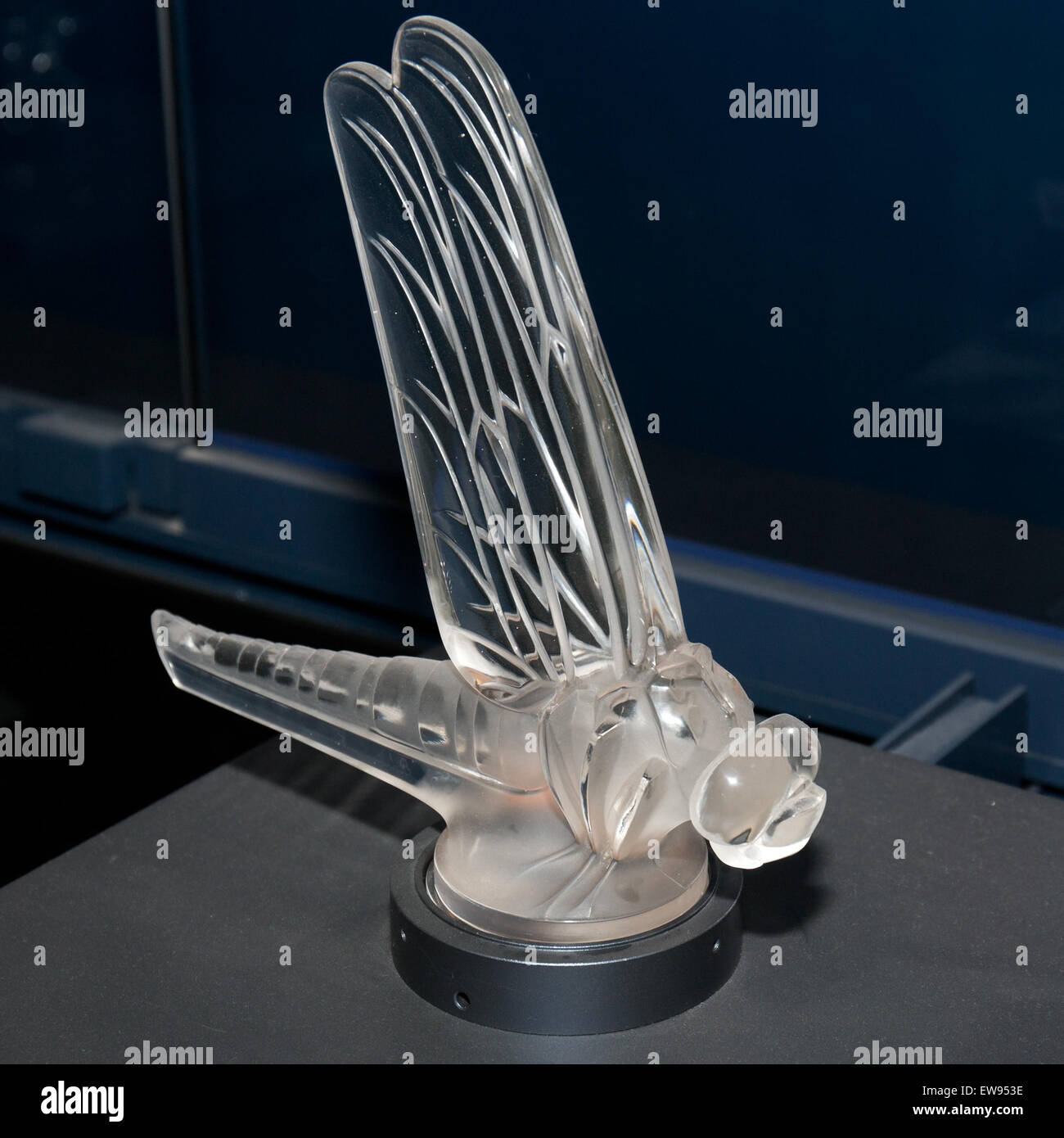 Libellule Grande 2 by Rene Lalique, displayed at the Toyota Automobile ...