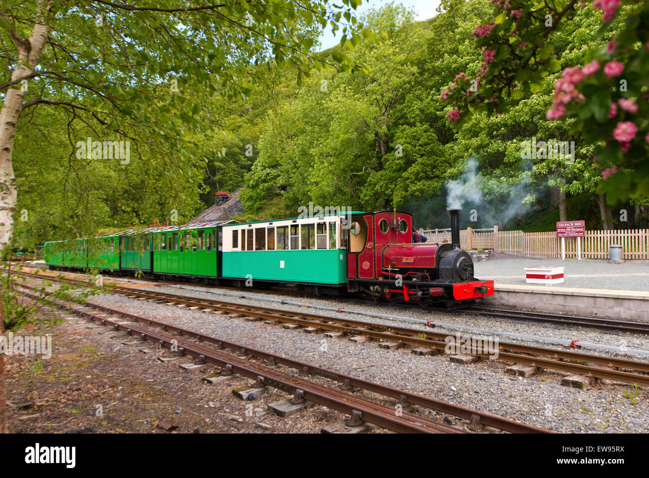 Llanberis North Wales Uk Steam engine Elidir narrow gauge railway Stock ...